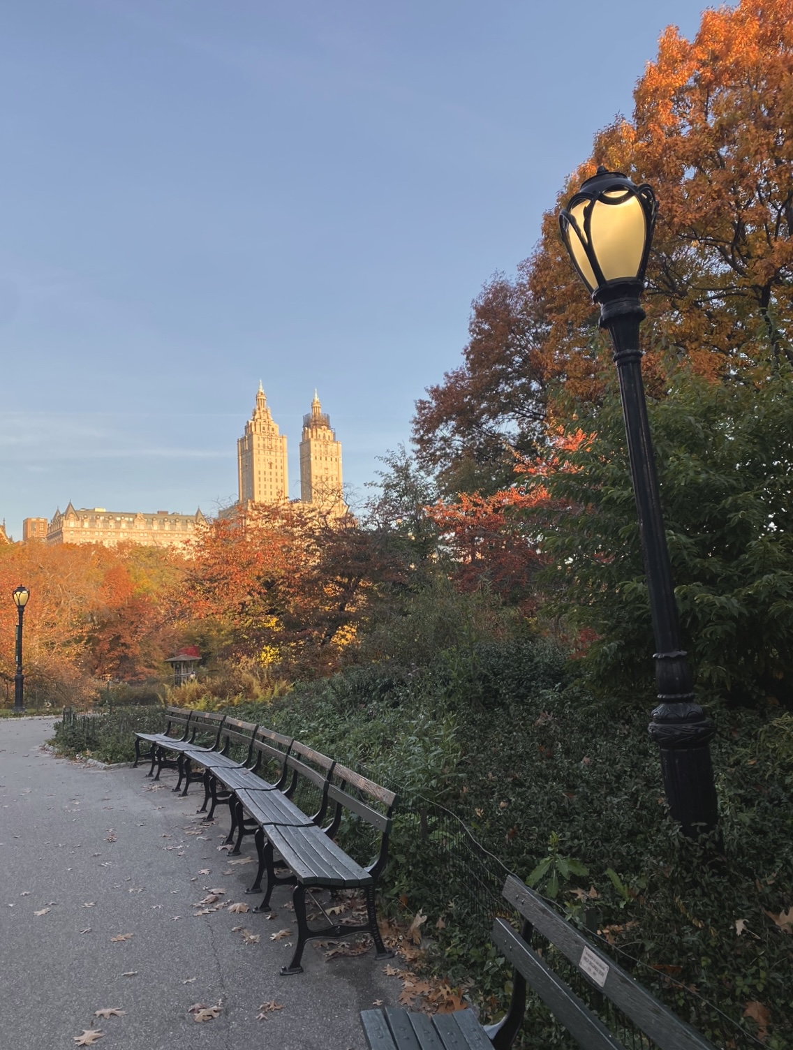 Fall in New York City - Hattie Kolp