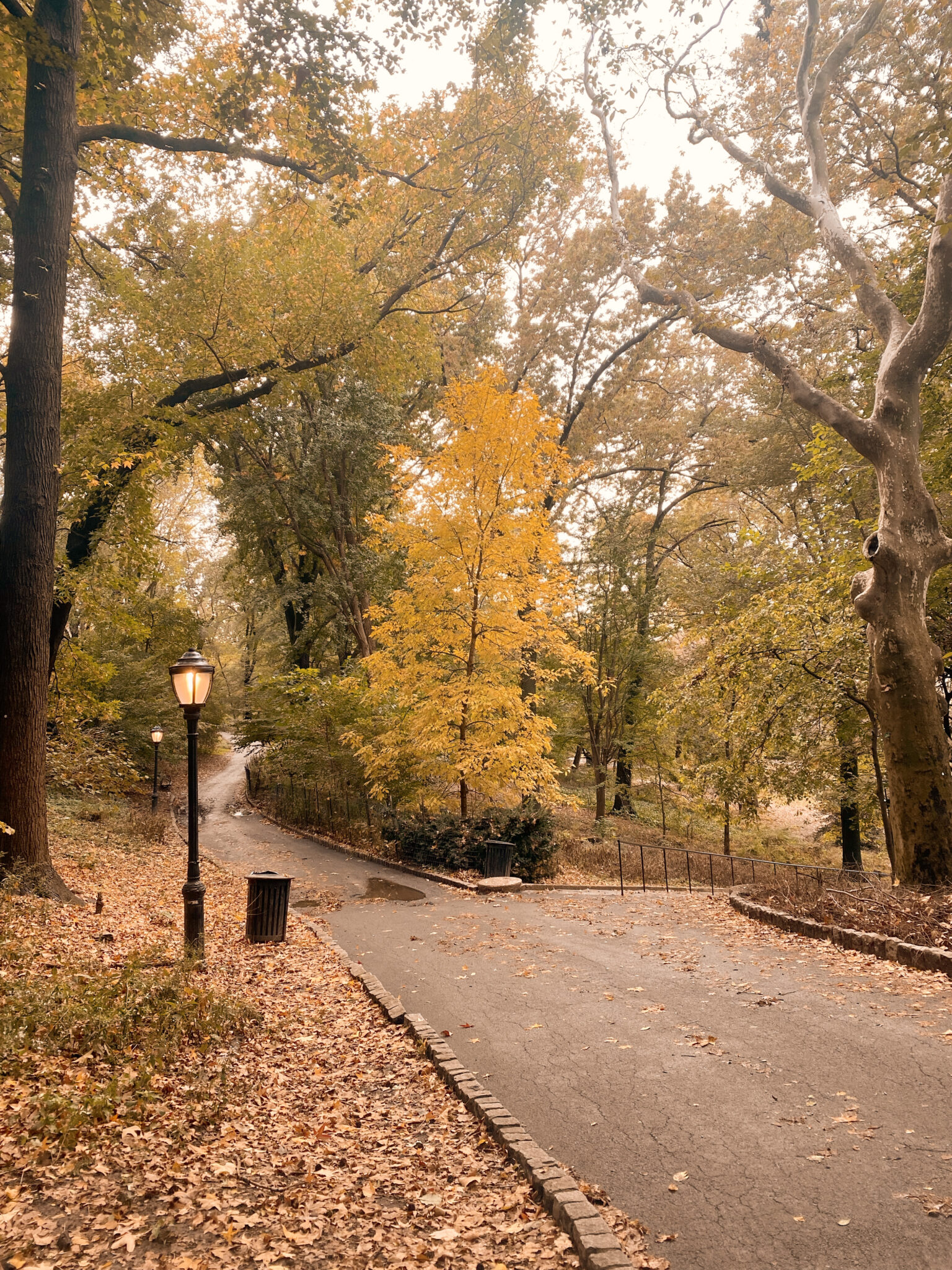 Fall in New York City - Hattie Kolp